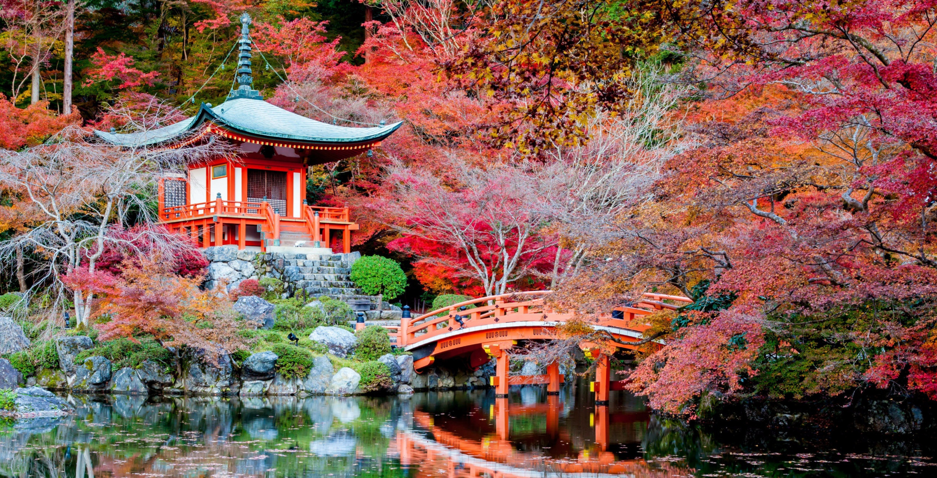 Travel Guide to Japan | Sure Travel